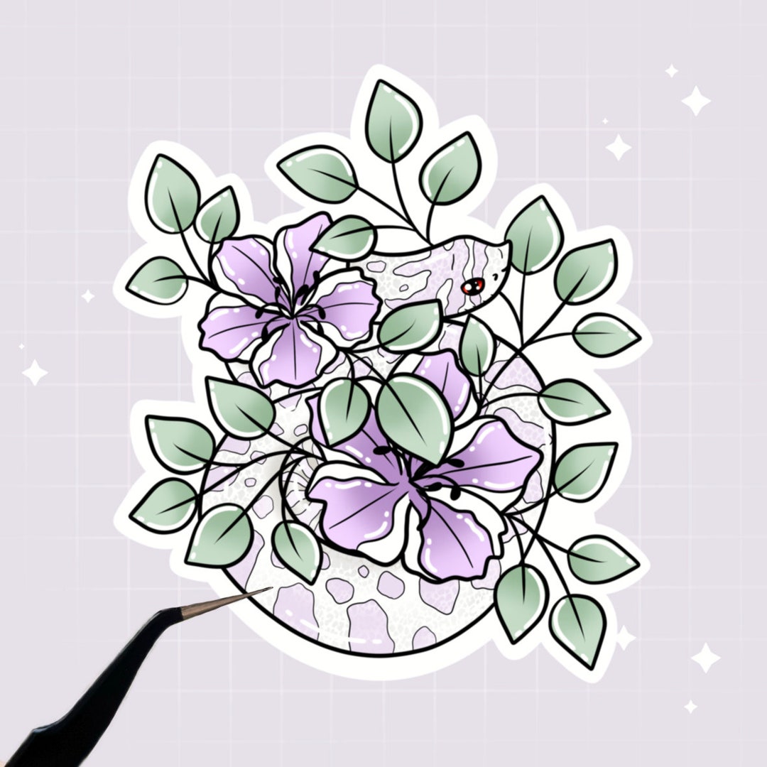 Snow Western Hognose Enclosure Sticker - Etsy