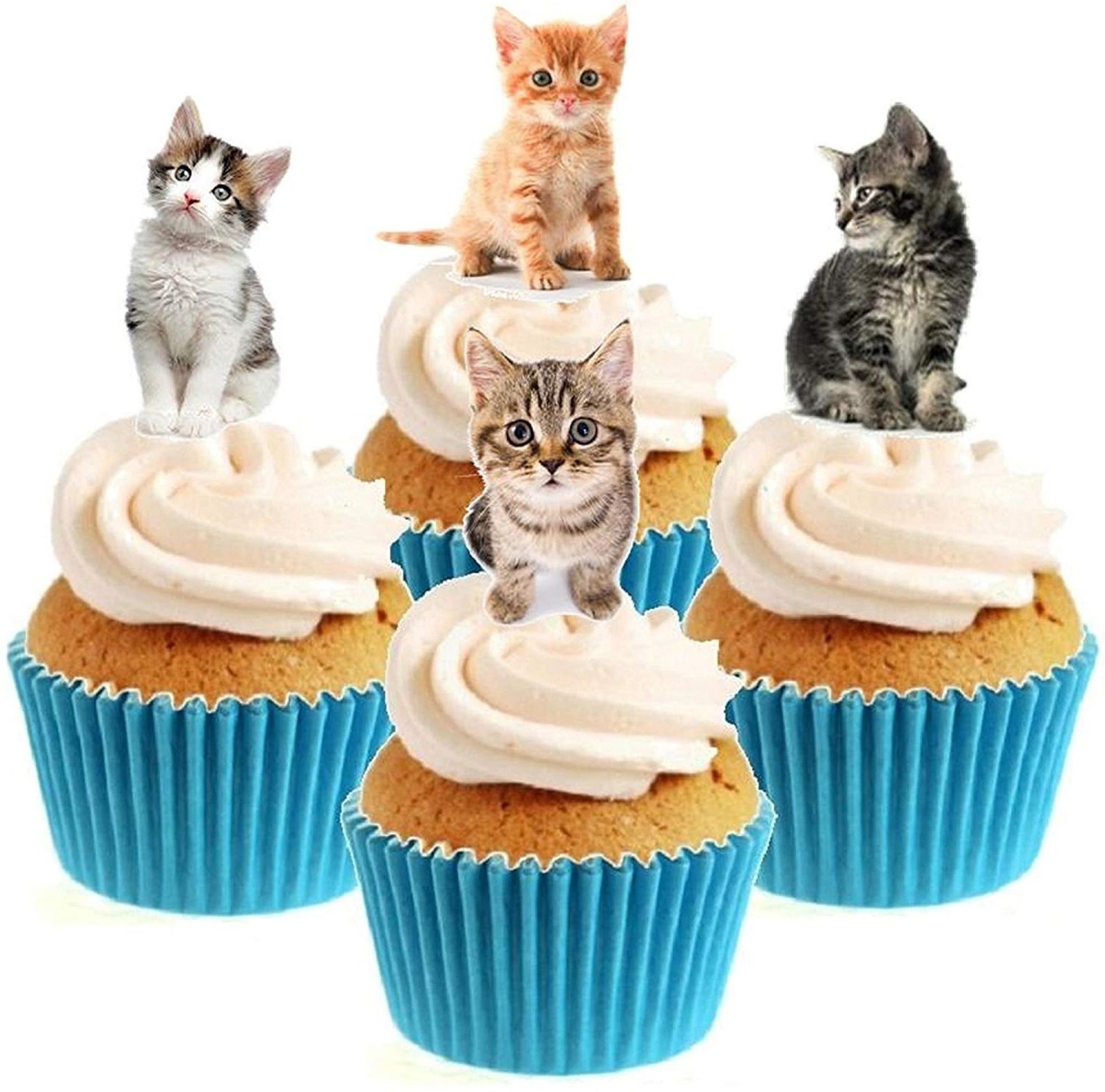 Kitten Collection Stand up Cake Toppers 12 Pack - Etsy