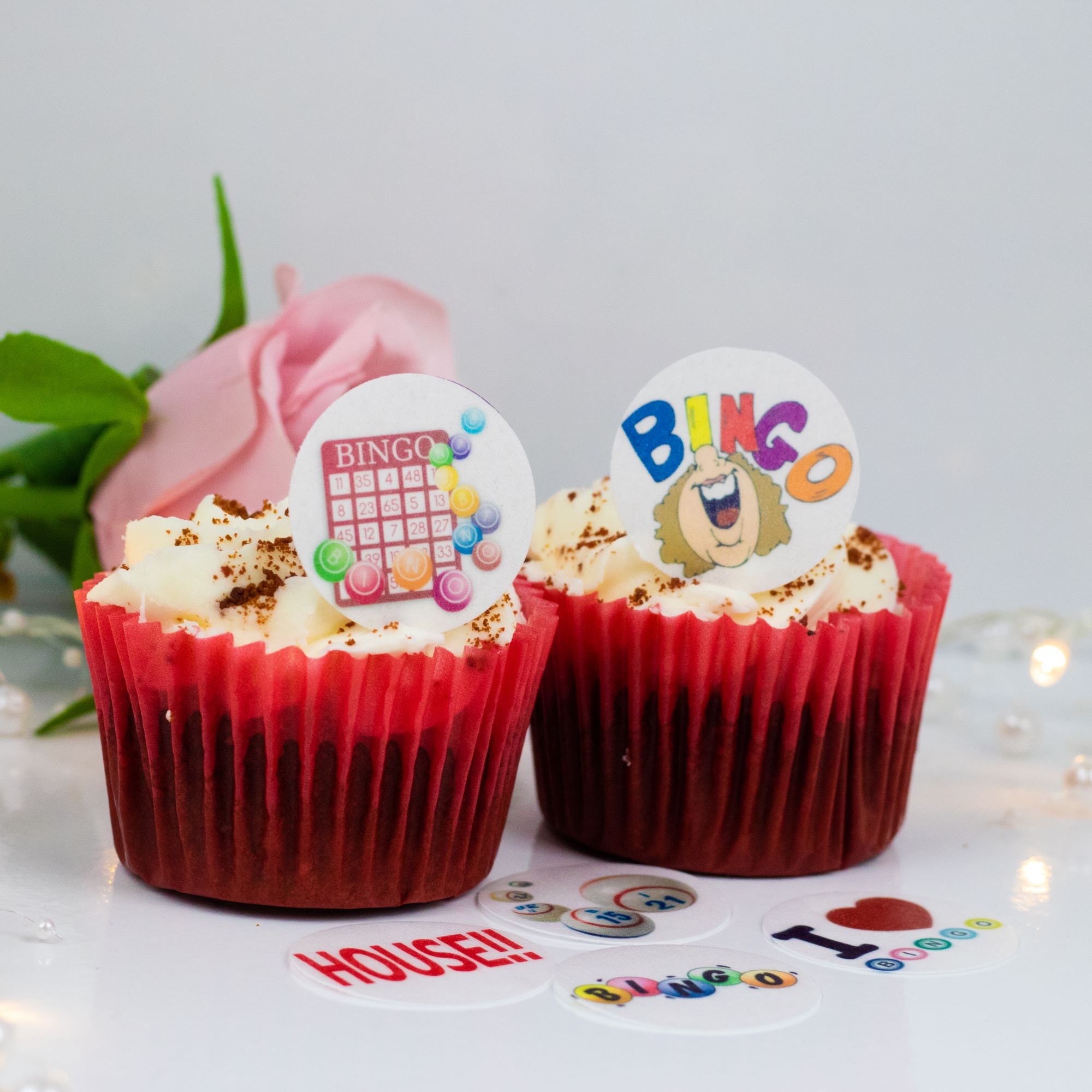 Bingo Collection 1.3 Discs - Etsy