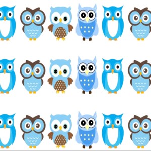 Blue Owls Edible Icing Cake Ribbon / Side Strips - Etsy