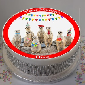 Personalised Meerkats Party Scene 8" Icing Sheet Cake Topper - Etsy