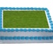 Short Grass Effect A4 Themed Icing Sheet - Etsy