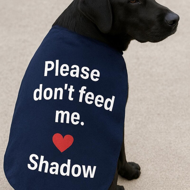 Do Not Pet Vest - Etsy