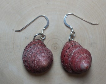 Strawberry Top Shell - Etsy