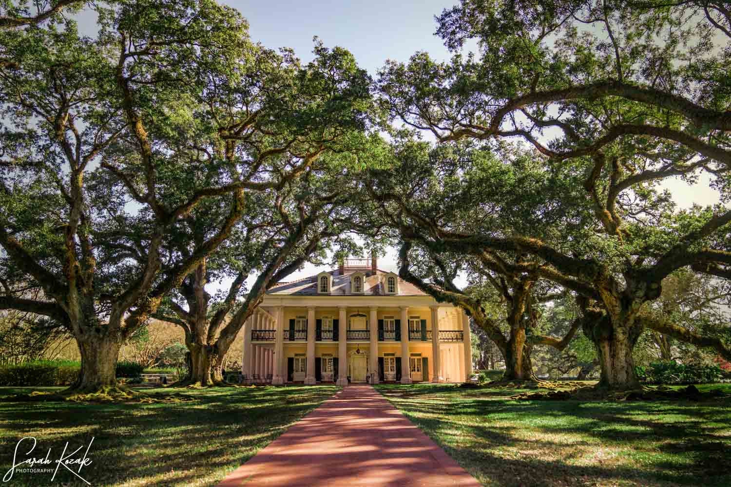 Oak Alley Plantation Home - Oak Tree Photography New Orleans ...