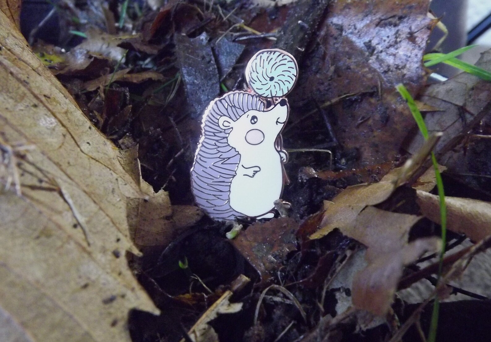 Henry the Hedgehog Cute Hedgehog Enamel Pin - Etsy