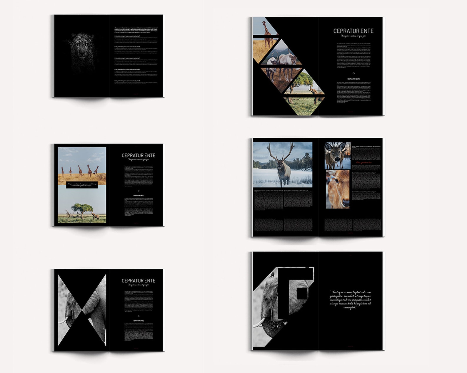 Indesign Black Magazine Template | Minimalist Magazine Layout | Clean ...