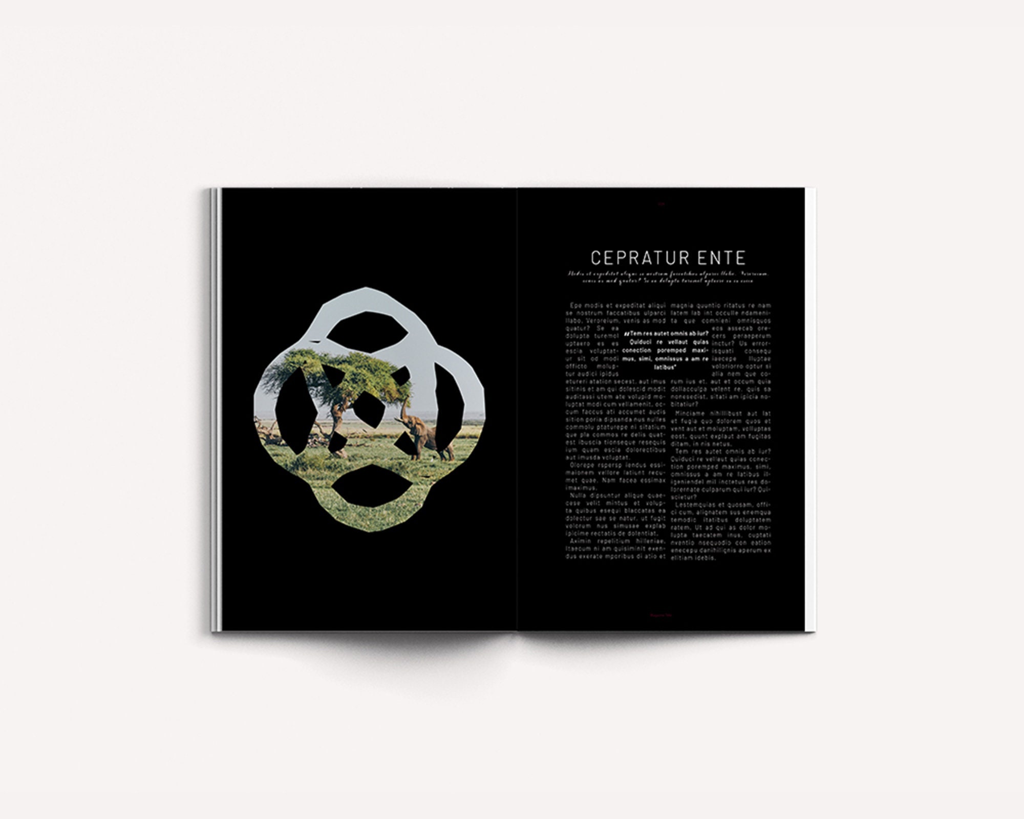 Indesign Black Magazine Template | Minimalist Magazine Layout | Clean ...