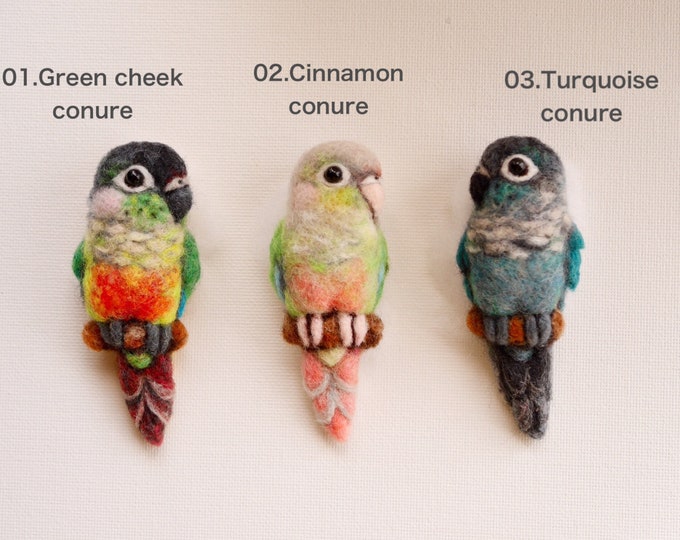 Conure Ripeness Chart Poster - Etsy