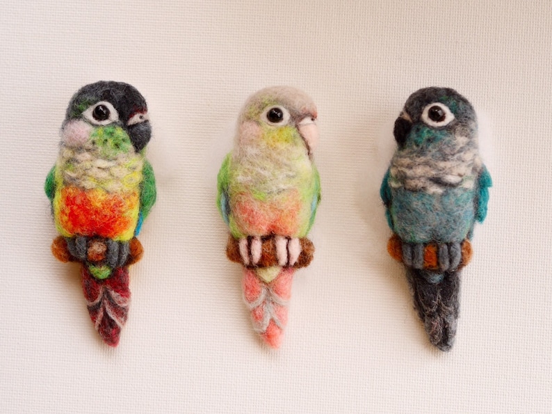 Green Cheek Conure / Cinnamon Conure / Turquoise Conure / Other Colors ...