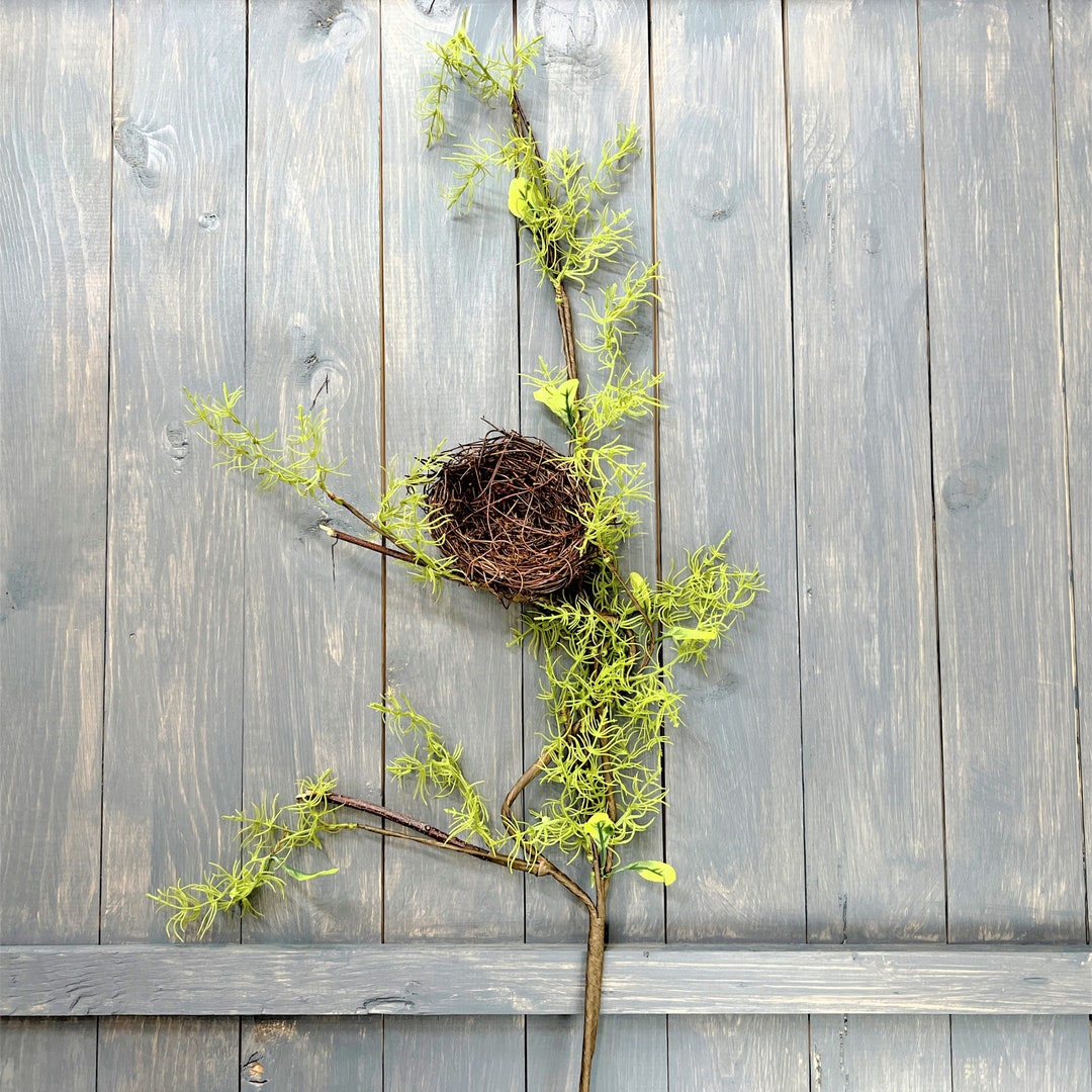 Bird Nest Floral Stem, Floral Stem With Bird Nest, Spring Floral Stem ...