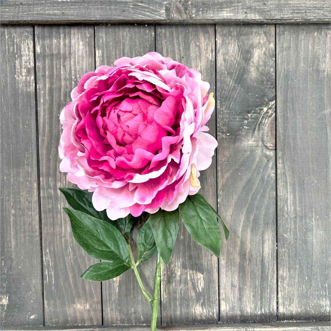 Pink Peony Stem, 29" Grand Garden Peony Stem, XL Peony, Artificial ...