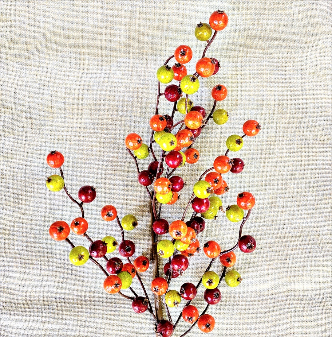 Fall Berry Spray, Fall Floral Spray, Fall Berry Pick, Autumn Berry Stem ...