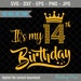 It's My 14th Birthday SVG, My 14th Birthday Shirt Svg,14th Birthday ...