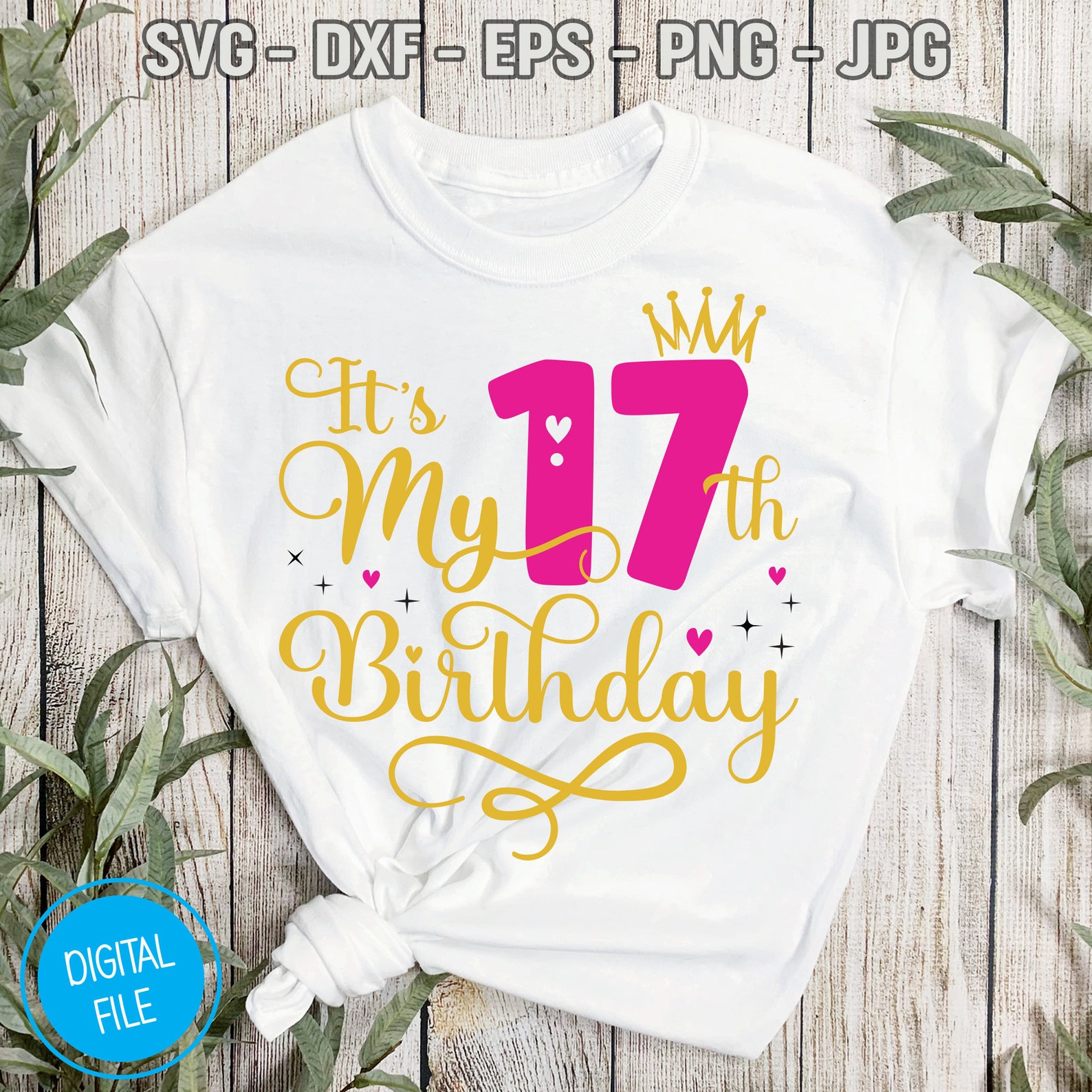 It's My 17th Birthday SVG Seventeen Years Old Birthday | Etsy