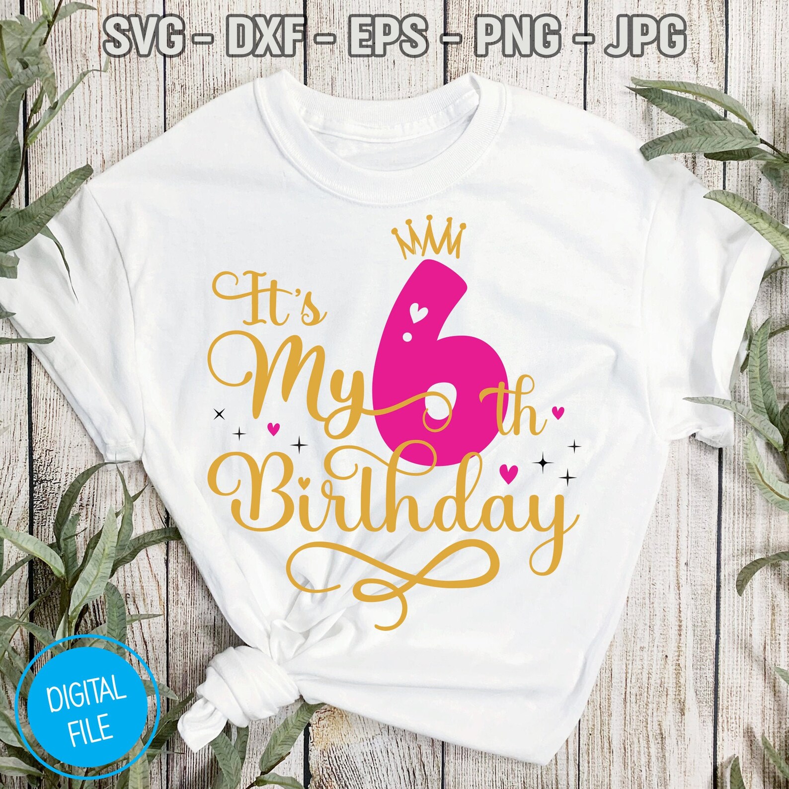 It's My 6th Birthday SVG Six Year Old Birthday Girl Svg - Etsy