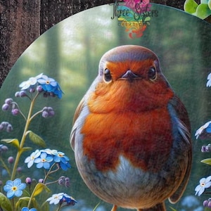 Robin Sign, Charming Robin and Forget-me-nots Wall Art, Garden Bird ...