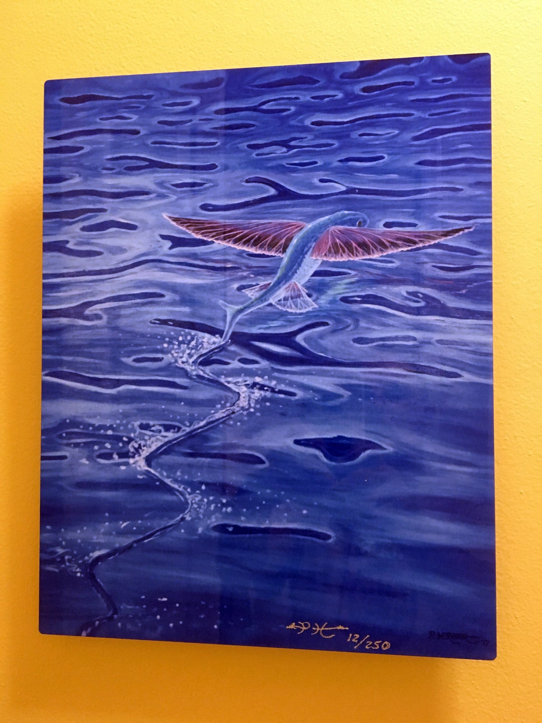 Flying Fish Painting by Paul Herber on Aluminum Print - Etsy