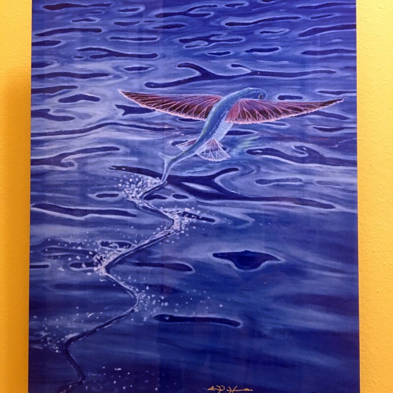 Flying Fish Print - Etsy