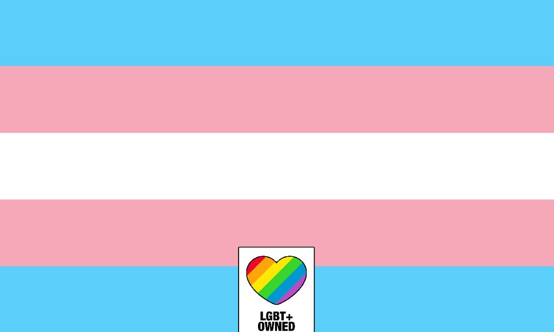 Transgender Flag Large LGBT 5ft by 3FT Pride Gay Lesbian Bi Trans ...