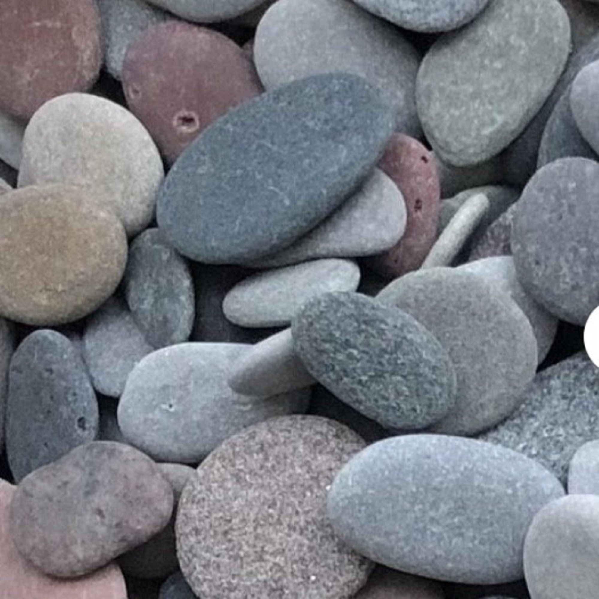 Craft pebbles. Selection of natural shaped/coloured pebbles | Etsy