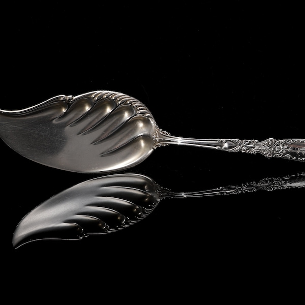 Silver Spoon Fish - Etsy
