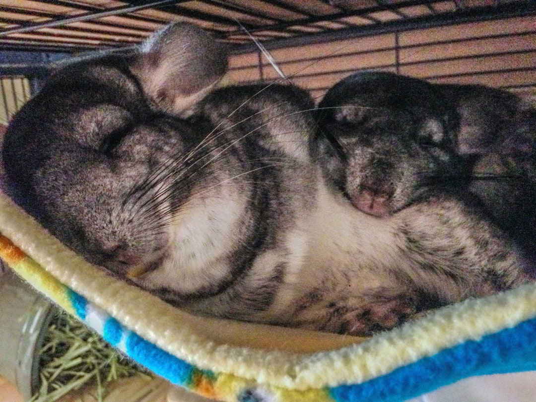 Various Patterns Large Chin-safe All Anti-pill Fleece Hammock Bed ...