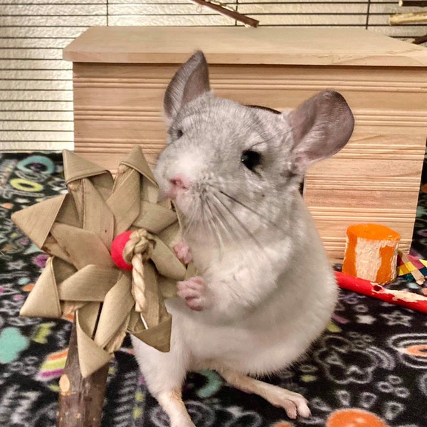 Chinchilla Toy - Etsy