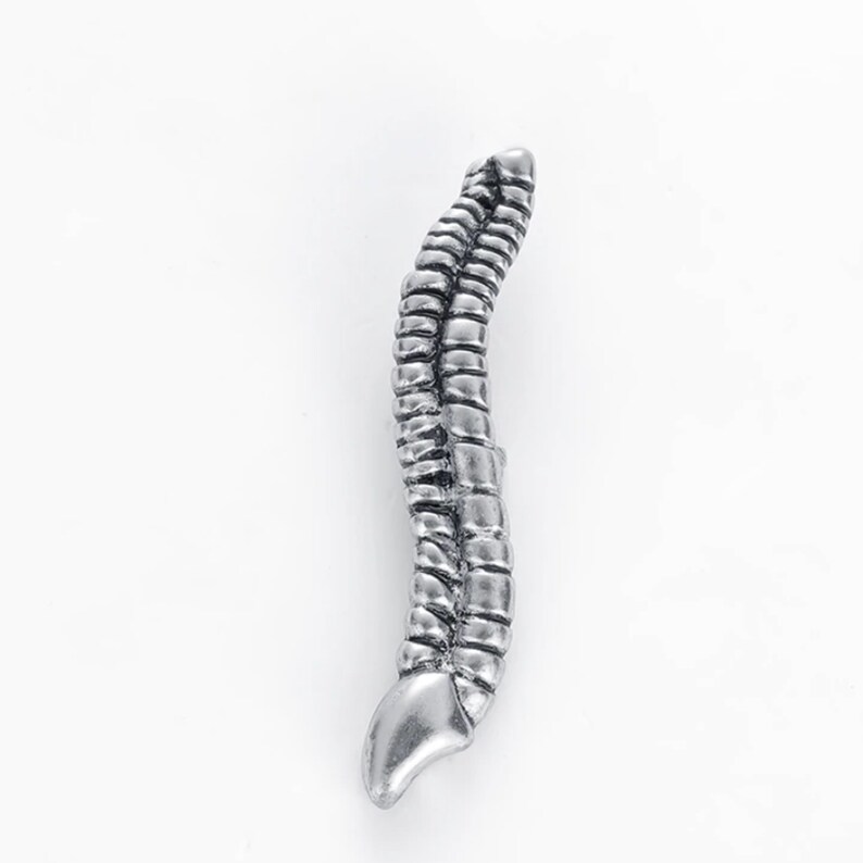 Thoracic Lumbar Cervical Vertebrae Lapel Pin Chiropractor and Anatomy ...