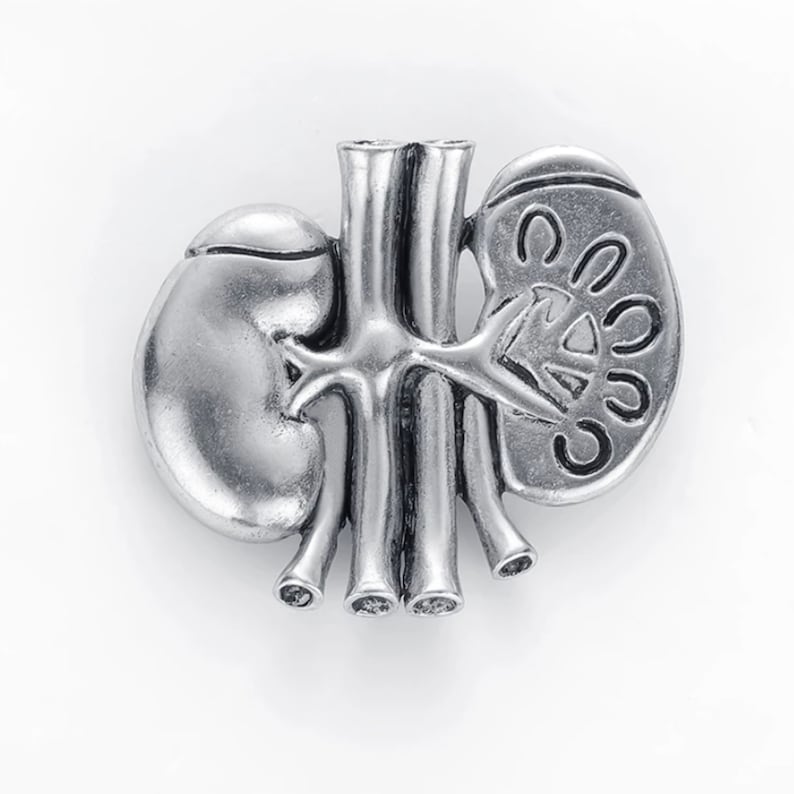 Kidney Pin Mothers Day Doctors Nephrology Dialysis Nurse Pin Urology ...