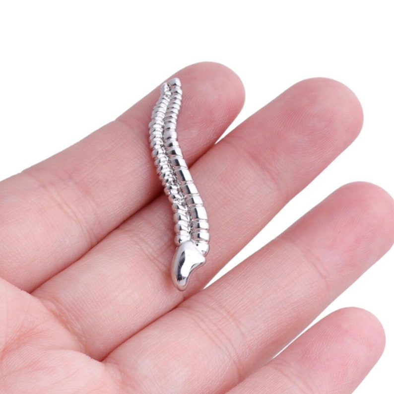Thoracic Lumbar Cervical Vertebrae Lapel Pin Chiropractor and Anatomy ...