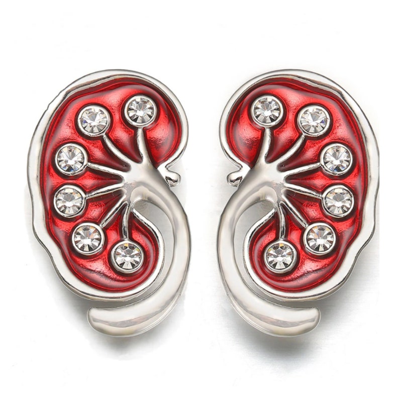 Pair of Kidneys Kidney Earrings Kidney Enamel Pin.nephrology Urology ...