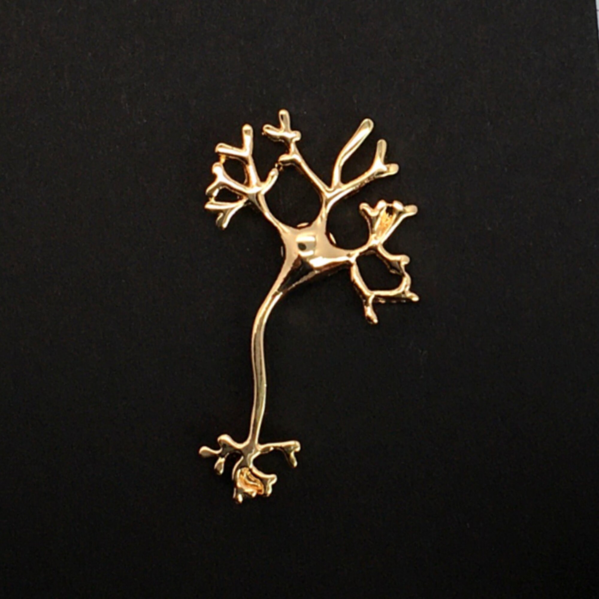 Neuron Axon Pin Neurologist Enamel Pin White Coat Pin Neuron Lapel Pin ...