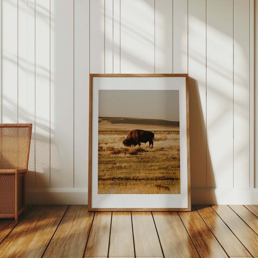 Buffalo Photography, Buffalo Art Print, Buffalo Photography Print, Wild ...