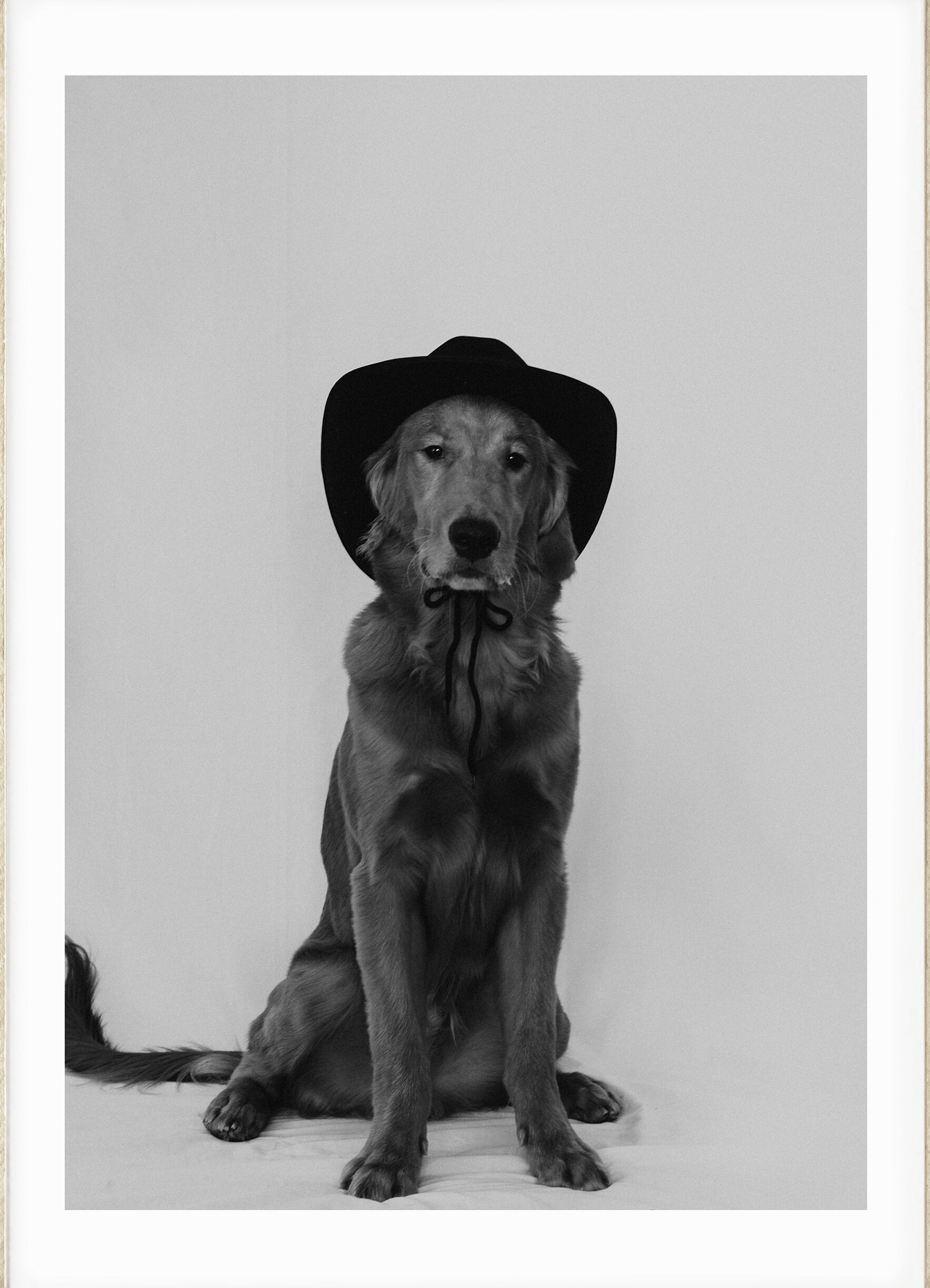 Funny Dog Wall Art, Golden Retriever Wall Art, Cowboy Wall Art, Cowboy ...