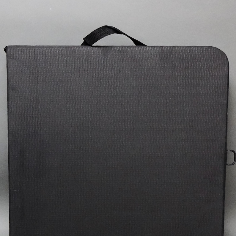 The Alternative to Steps and Ramps! 4 Paws Platform for Small & Large ...