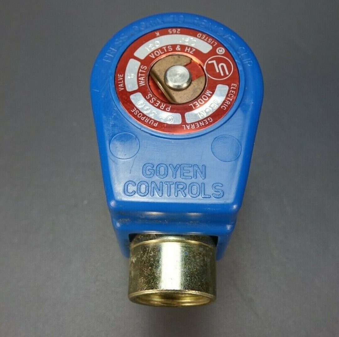 Goyen Controls Control Valve 1b6m 120V 60hz 300 Psi 6 Watts - New - Etsy