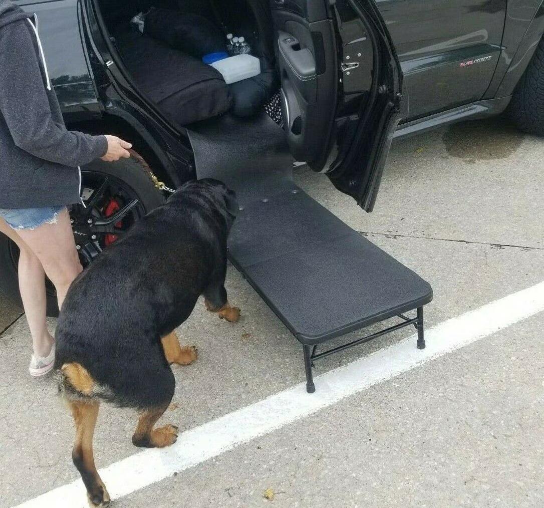 Original 4 Paws Portable Dog Platform Small or Large Pets Folding Step ...