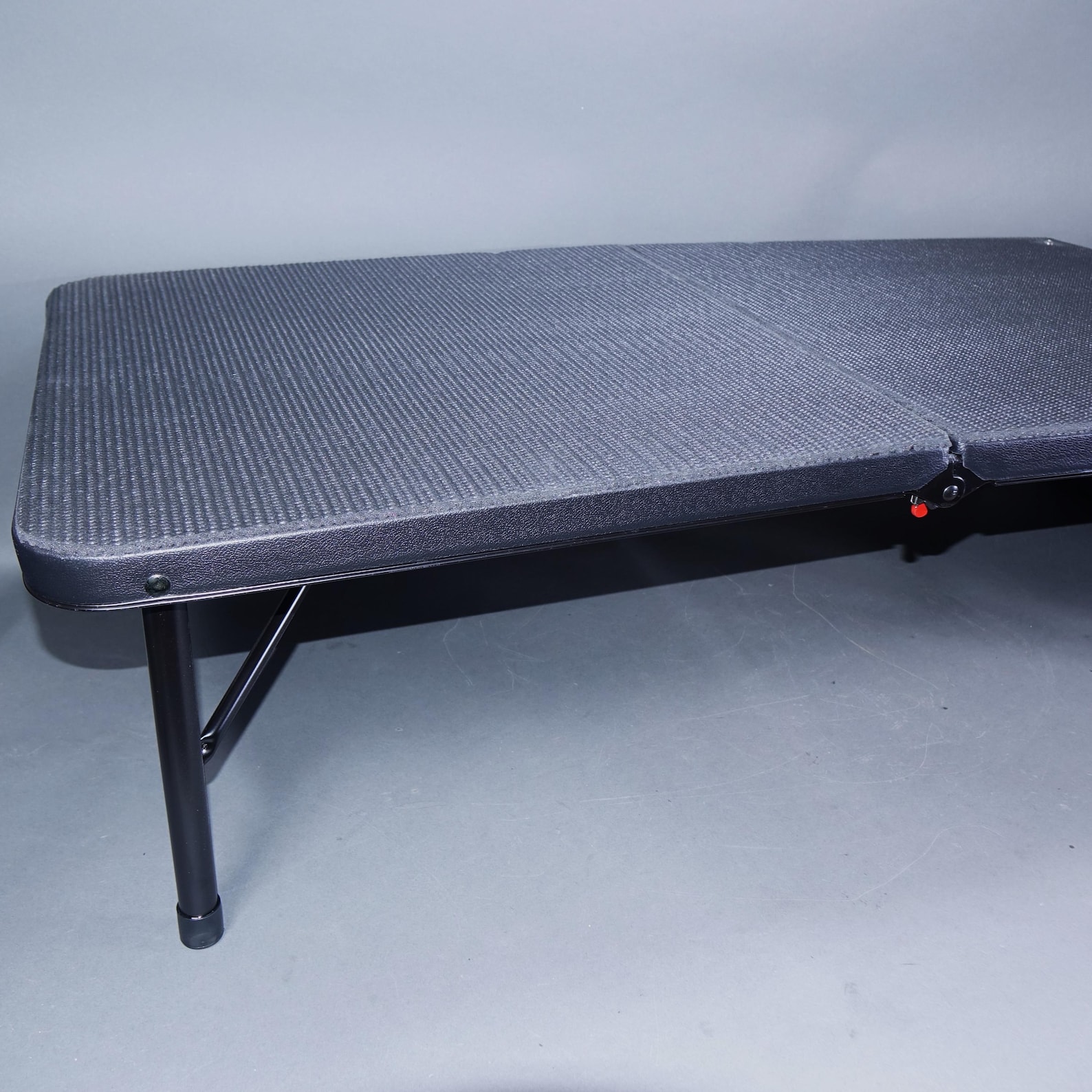 Original 4 Paws Portable Dog Platform Small or Large Pets Folding Step ...