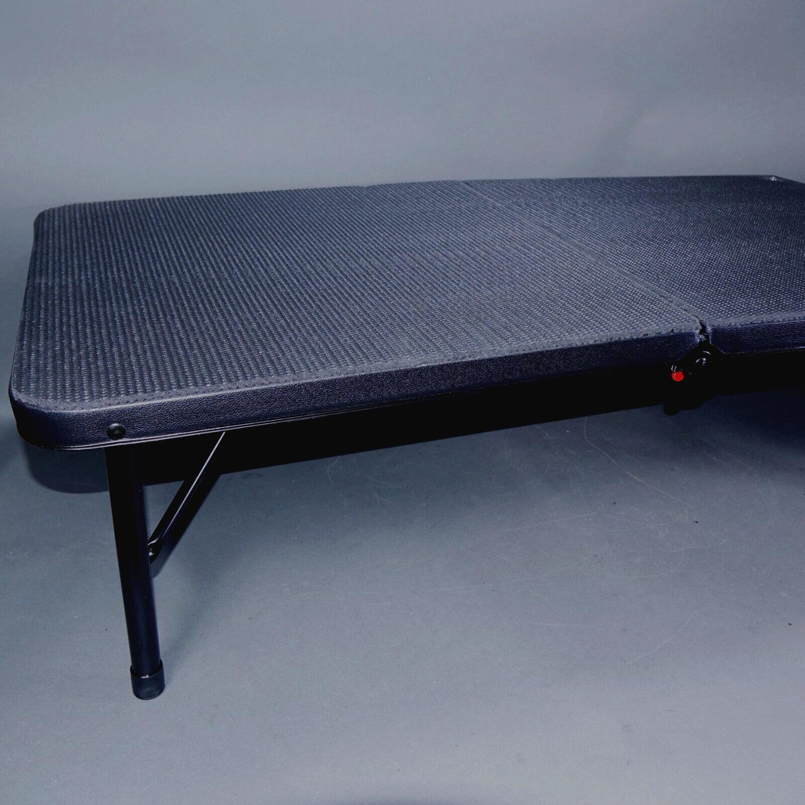 Original 4 Paws Portable Dog Platform Small or Large Pets Folding Step ...