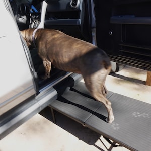 The Alternative to Steps and Ramps! 4 Paws Platform for Small & Large ...