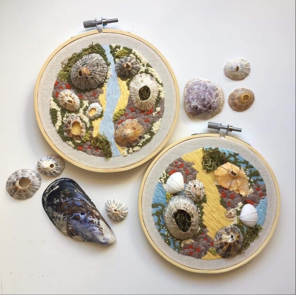 Rock Pool II 5 Inch Hand Embroidery With Shells From Cornwall, St Ives ...