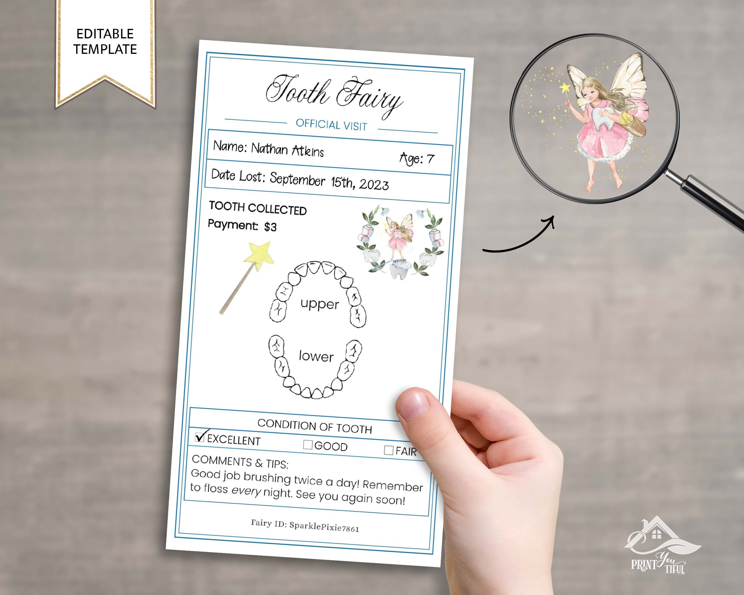 Editable Tooth Fairy Certificate Printable Lost Tooth Fairy | Etsy Canada