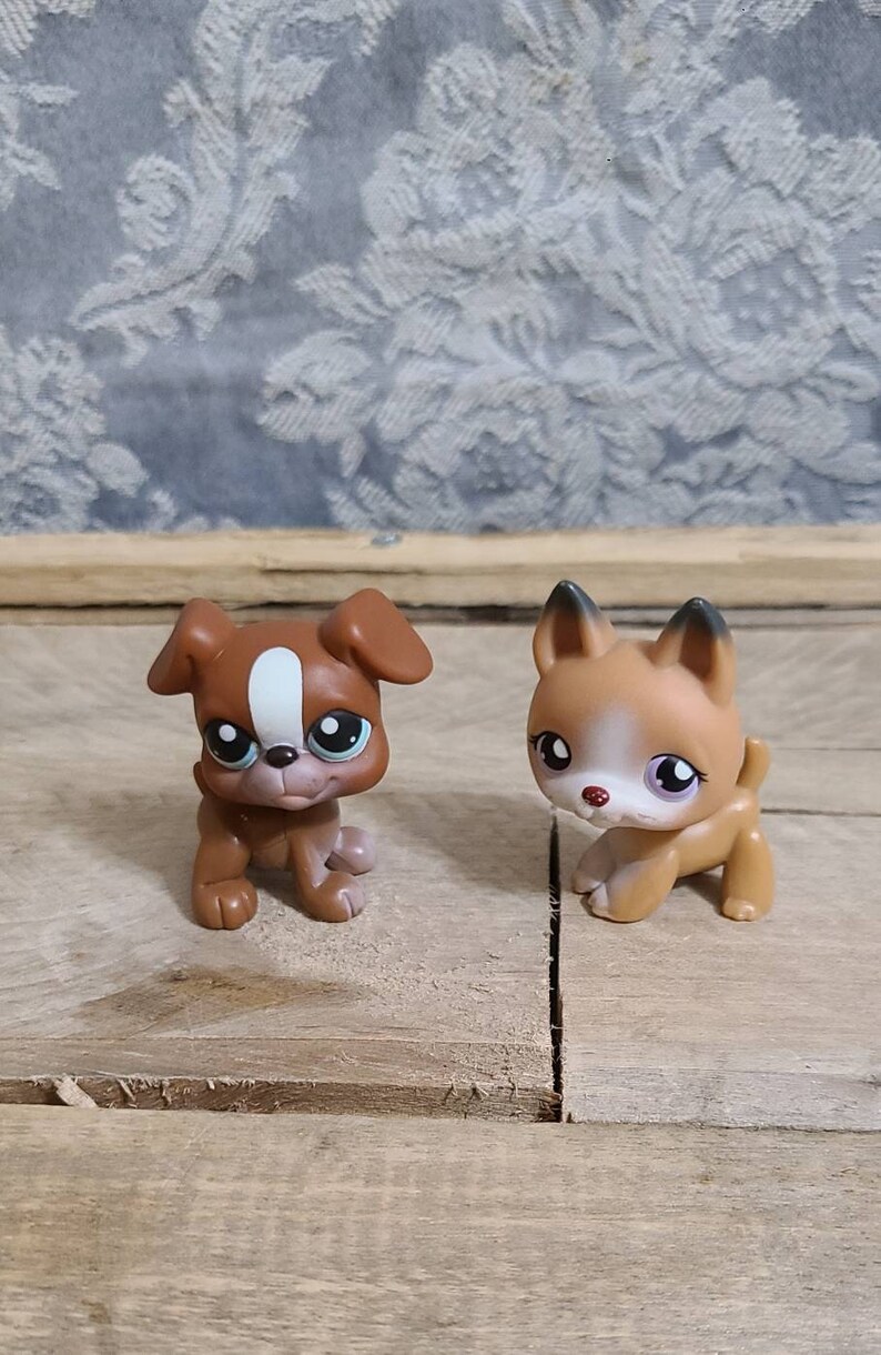 LPS Littlest Pet Shop Brown Boxer Dog 83 With Blue Eyes & - Etsy