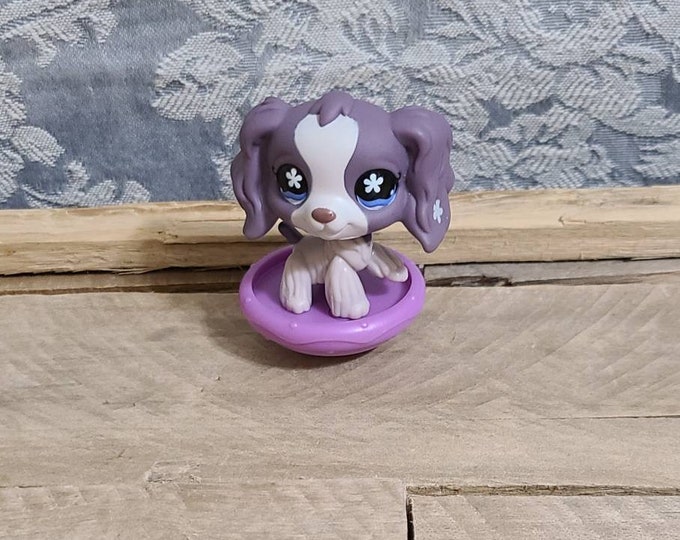 LPS Littlest Pet Shop 672 Cocker Spaniel Flower Eyes Hasbro With ...