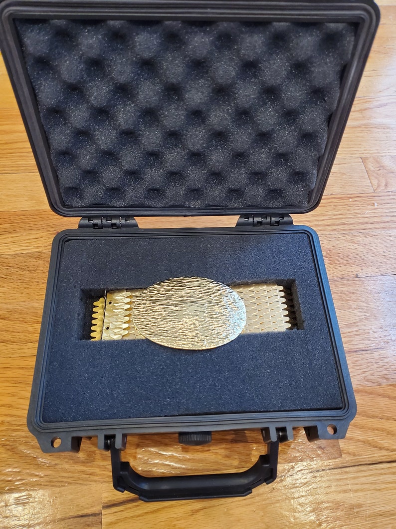 Quantum Power Device Aegis Lux Aureus - the Atlantean Vitality Belt ...