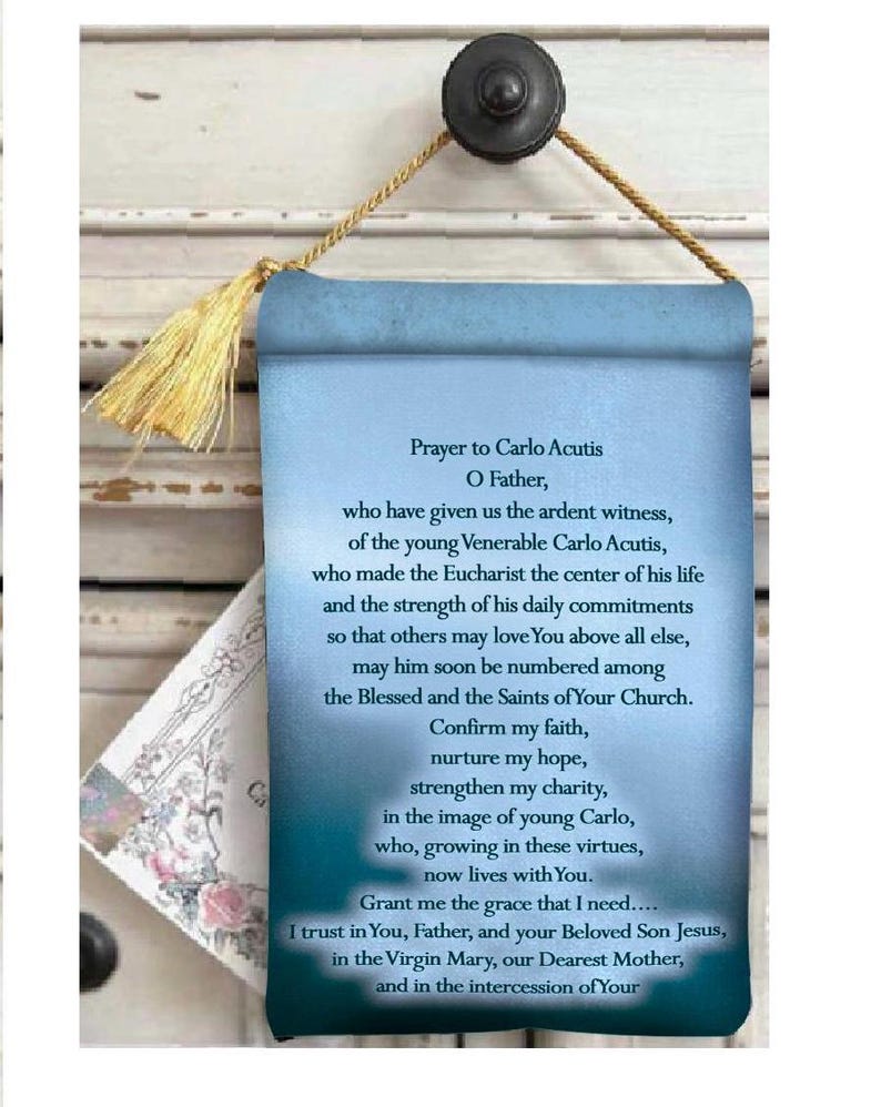 SAINT CARLO ACUTIS Velvet Blessing Carrier, Hd Image 8 by 5 Inches , 2 ...