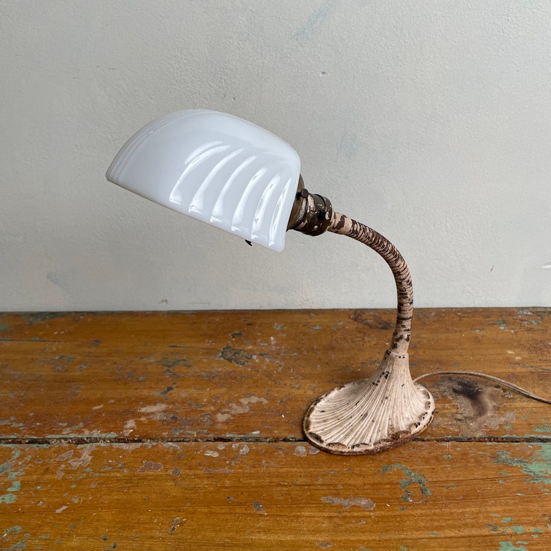 Clamshell Lamp - Etsy