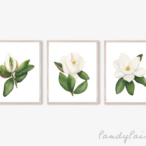 Magnolia Cross Stitch Pattern | Etsy