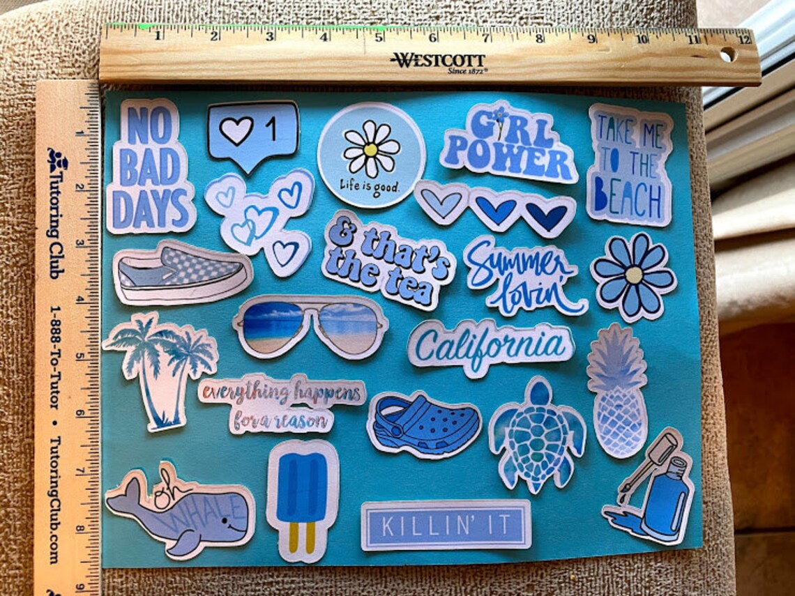 Fun BLUE Aesthetic Vsco Stickers Turtle Van Flower Life is - Etsy
